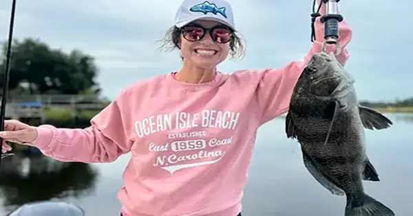 North Carolina Black Drum Record and Regulations