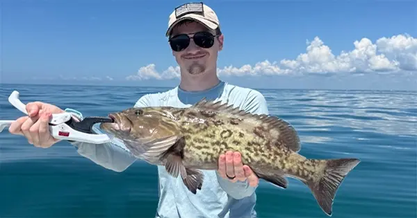 Gag Grouper Season in North Carolina (2026)
